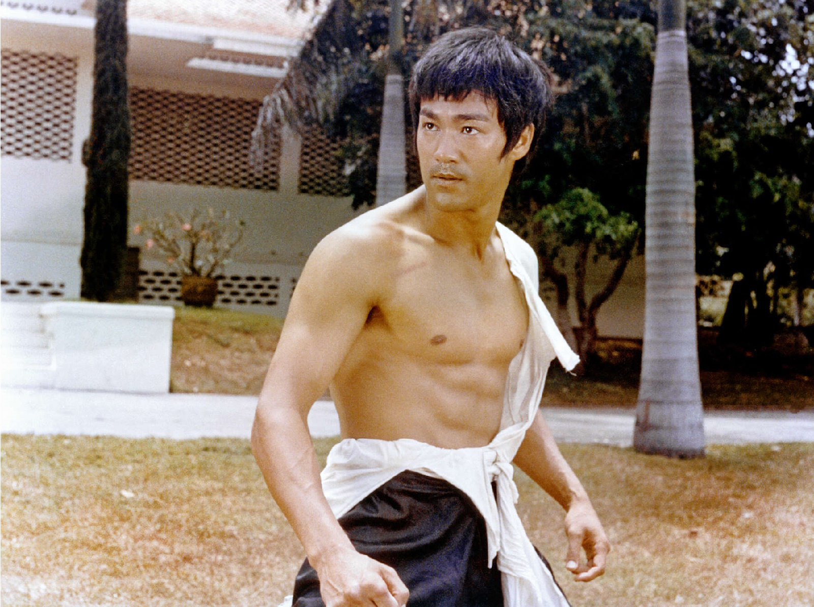 رتبه بندی همه فیلم های بروس لی